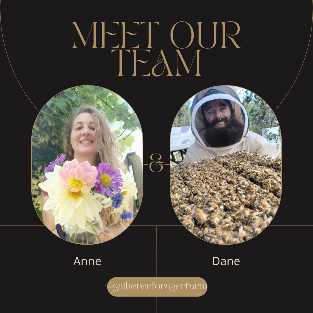 About us – Gatherer Forager